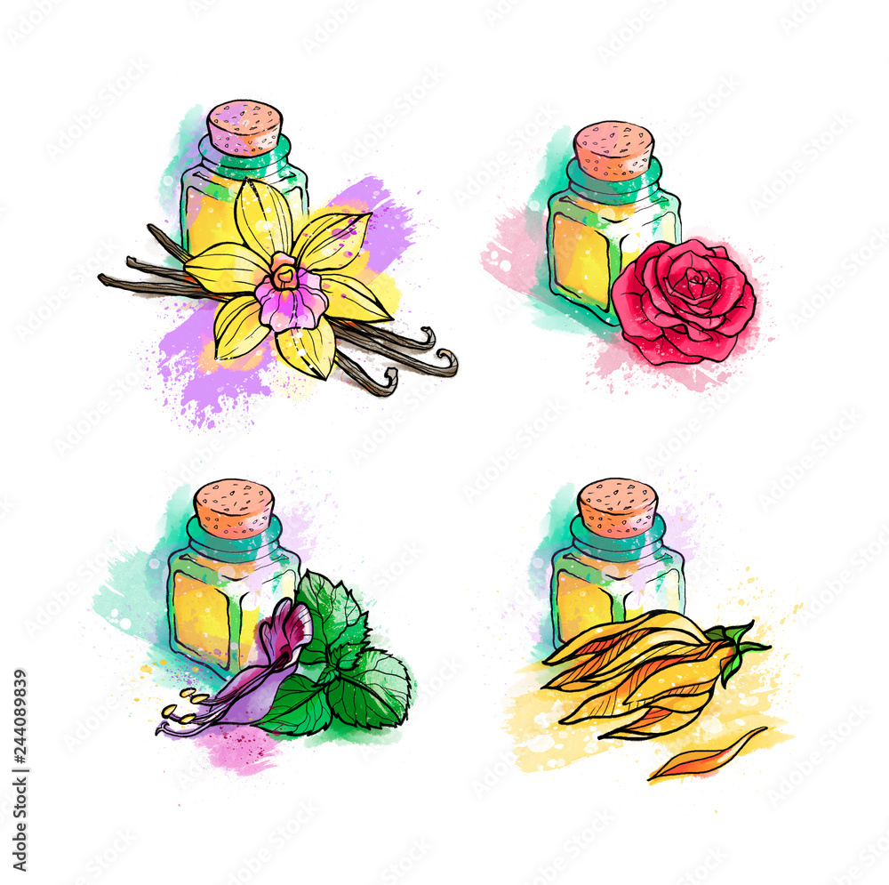 Hand drawing illustration, a set of different essential aromatic oils ...