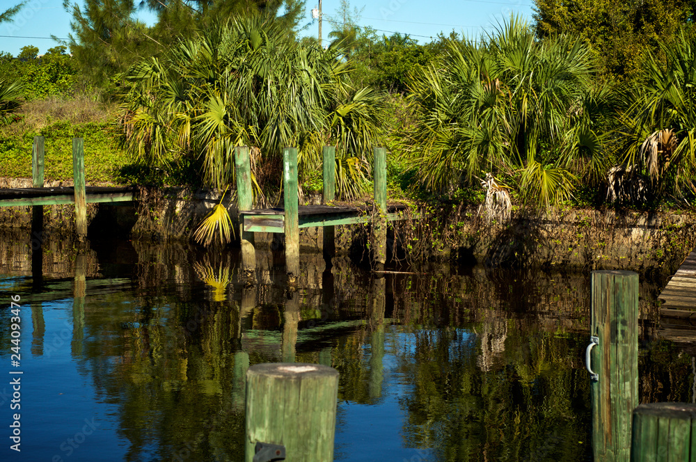 Old boat docks with over grown vegetation and palm trees in southwest ...