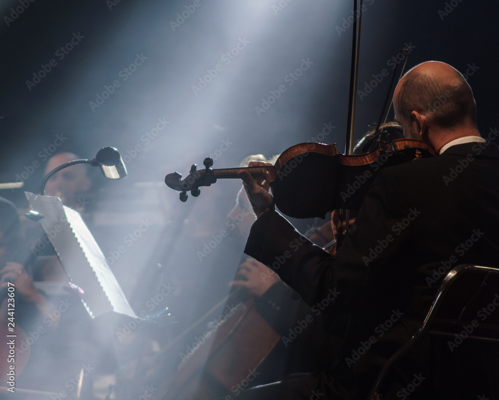 This captivating photo features an orchestra in full swing, with a ...