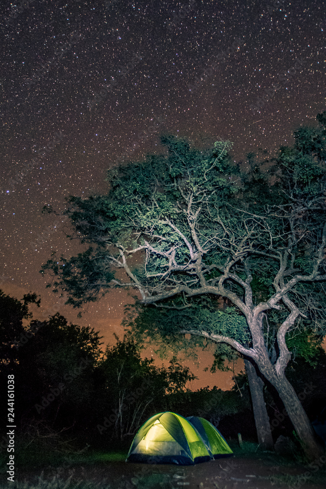 A cozy tent glowing warmly under a sky full of stars in the African ...