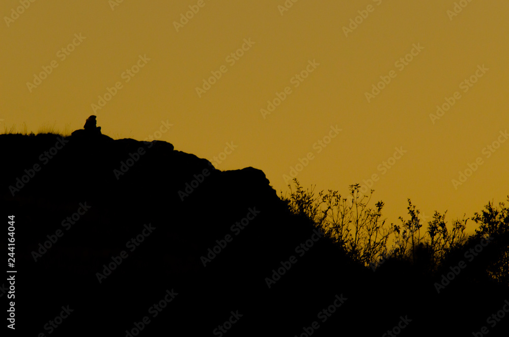 Silueta de persona sentada en una colina durante la puesta de sol ...