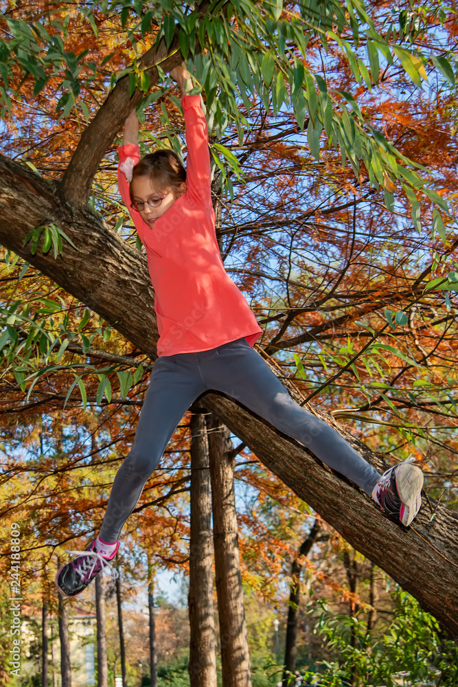 Little girl hanging on a tree branch Stock Photo | Adobe Stock