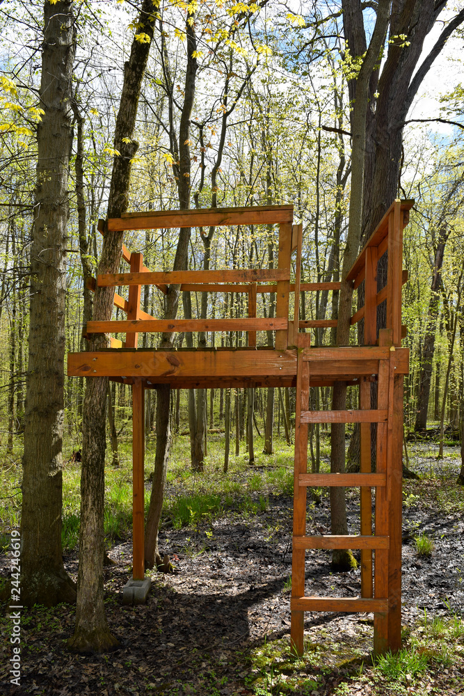 Wooden Tree House Fort Platform Hunting Stand in Deep Dark Forest Wood ...