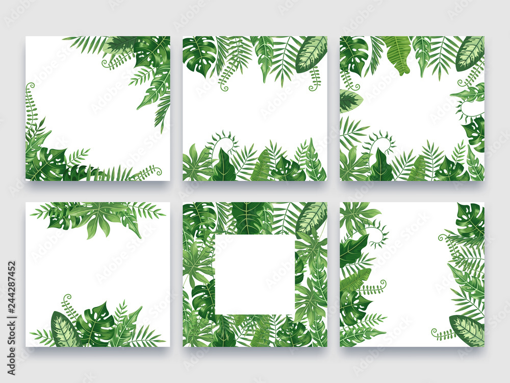 Nature Borders And Frames Design - Infoupdate.org