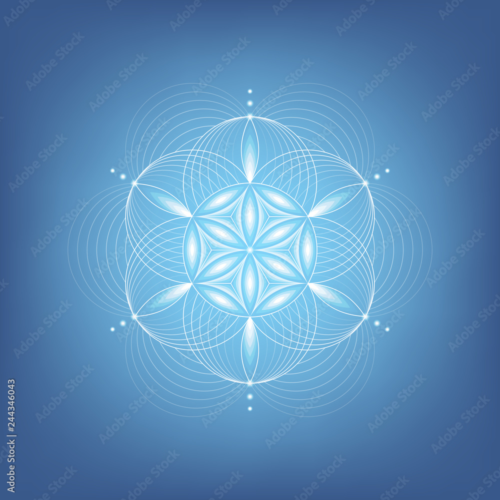 Vector modern sacred geometry mandala; Abstract shape based on ancient ...