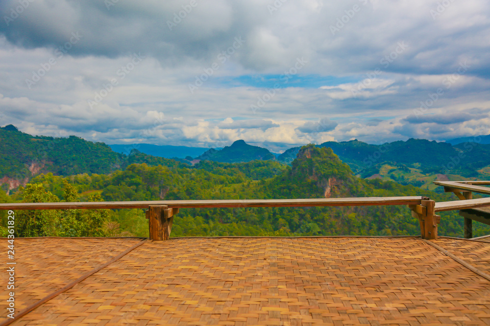 perspective bamboo emtry green forest in aerial view. Landscape of ...
