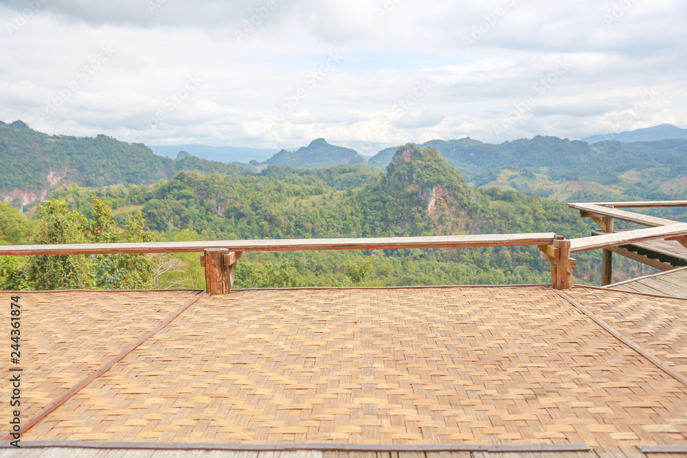 perspective bamboo emtry green forest in aerial view. Landscape of ...