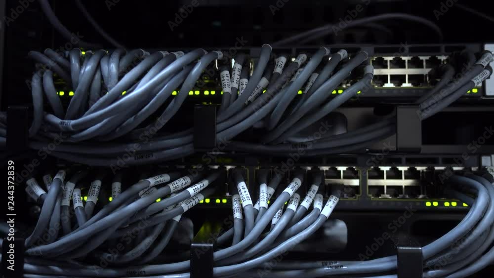 UTP cables are connected to a network switch. Network activity on ...