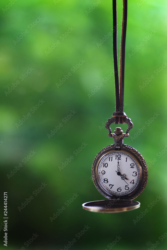 Pocket Watch Hanging