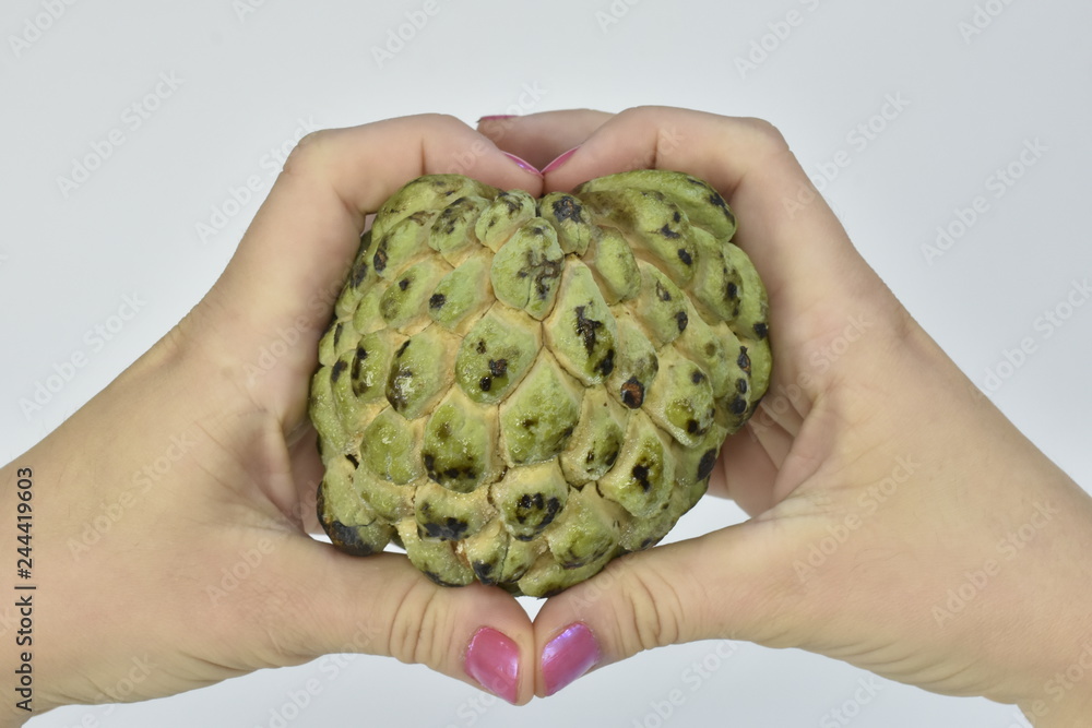 Exotic Brazilian fruit as known as "Fruta do Conde or Fruta Pinha ...