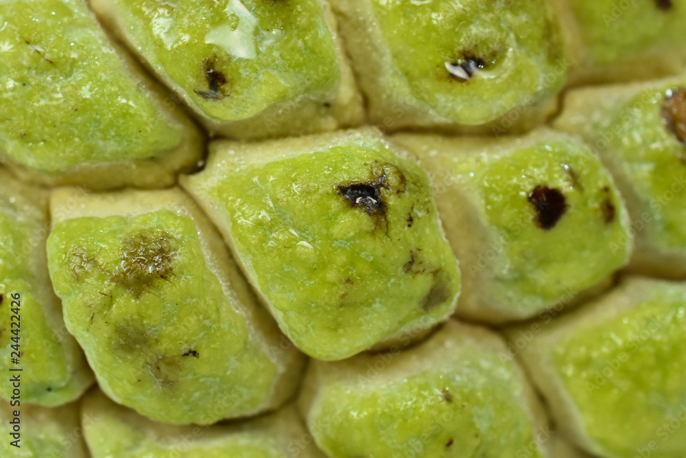 Exotic Brazilian fruit as known as "Fruta do Conde or Fruta Pinha ...