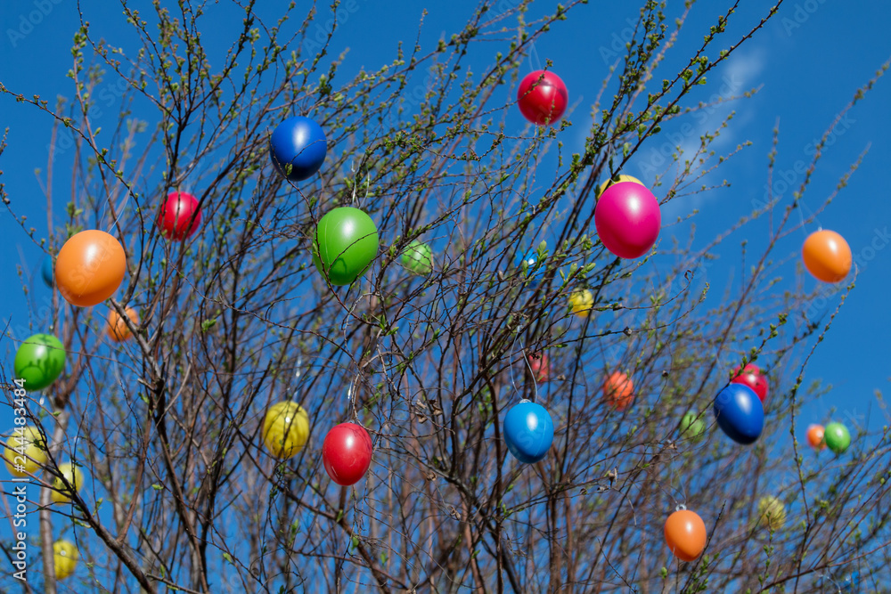 Osterstrauch mit bunten Eiern, Blick von unten in den Himmel Stock-Foto ...