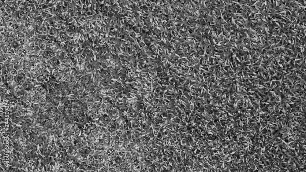 Set of 5 animated leaf textures. Loop ready nature clips for animation ...