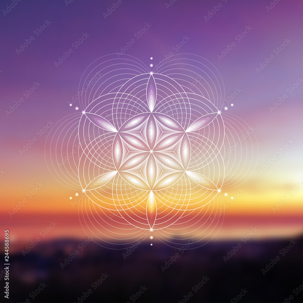 Vector template; Spiritual sacred geometry; Abstract geometric shape ...
