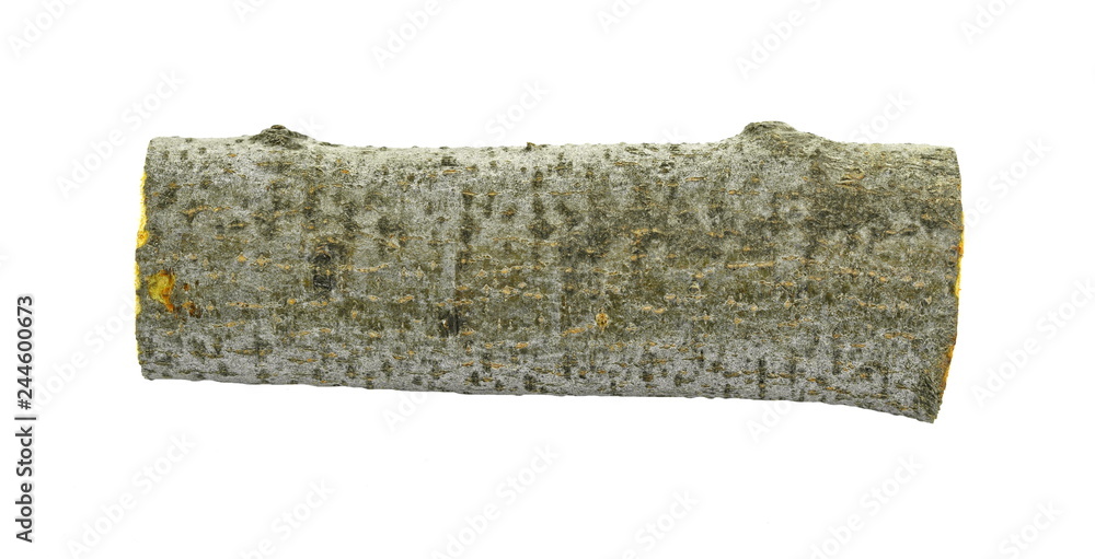 Single log. Isolated on a white. Log fire wood isolated on white ...