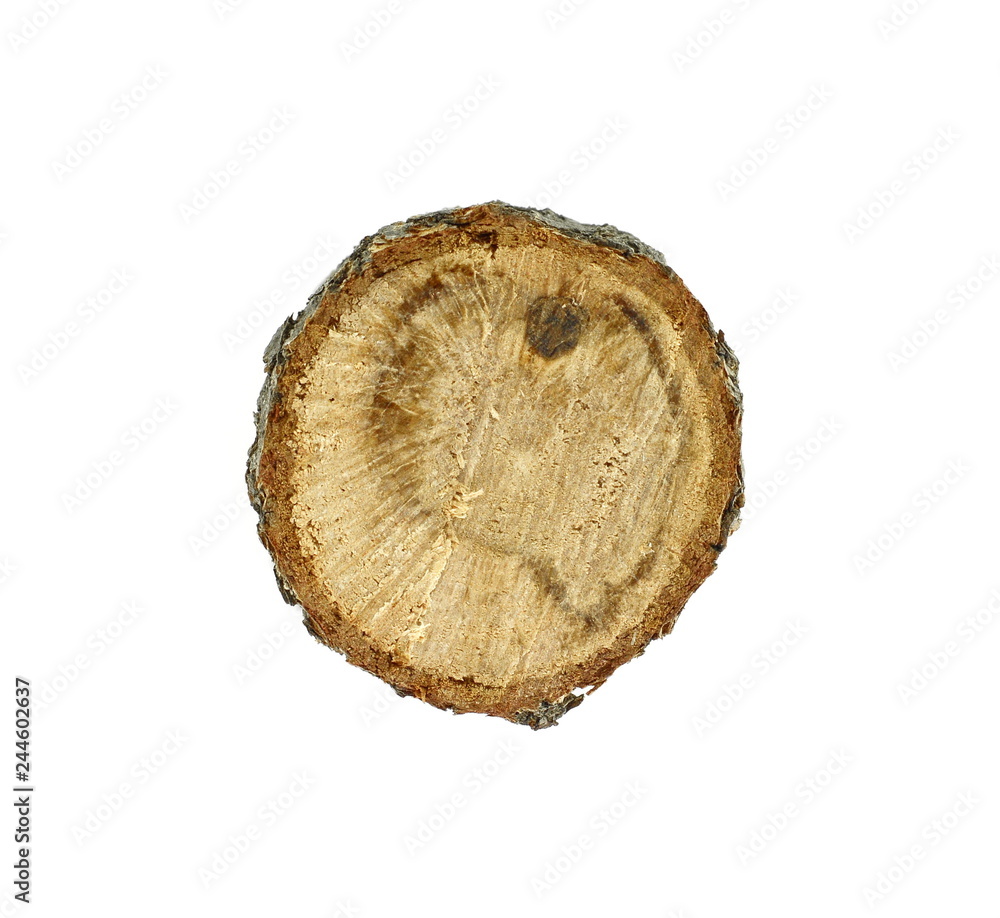 Rough log circle cut isolated on white background. cross section of ...