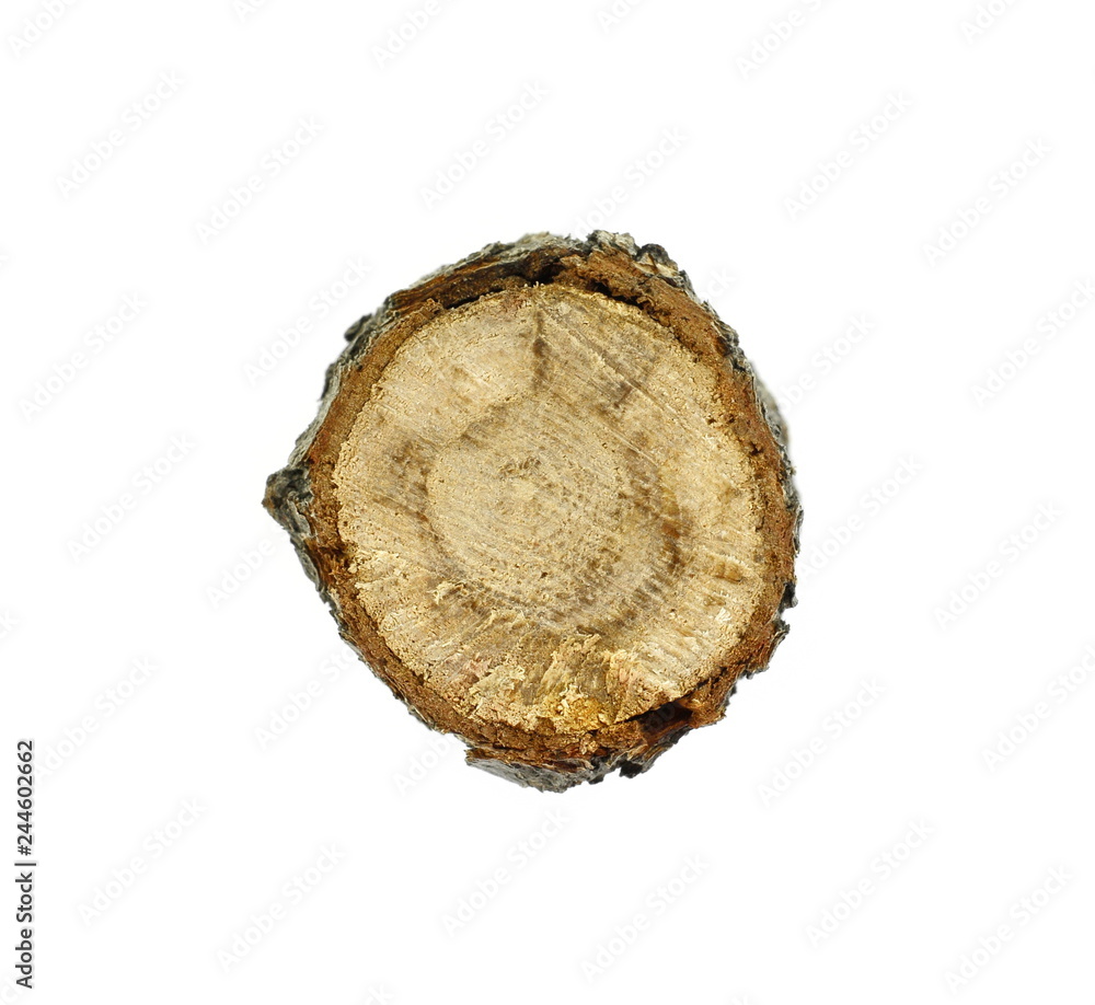 Rough log circle cut isolated on white background. cross section of ...