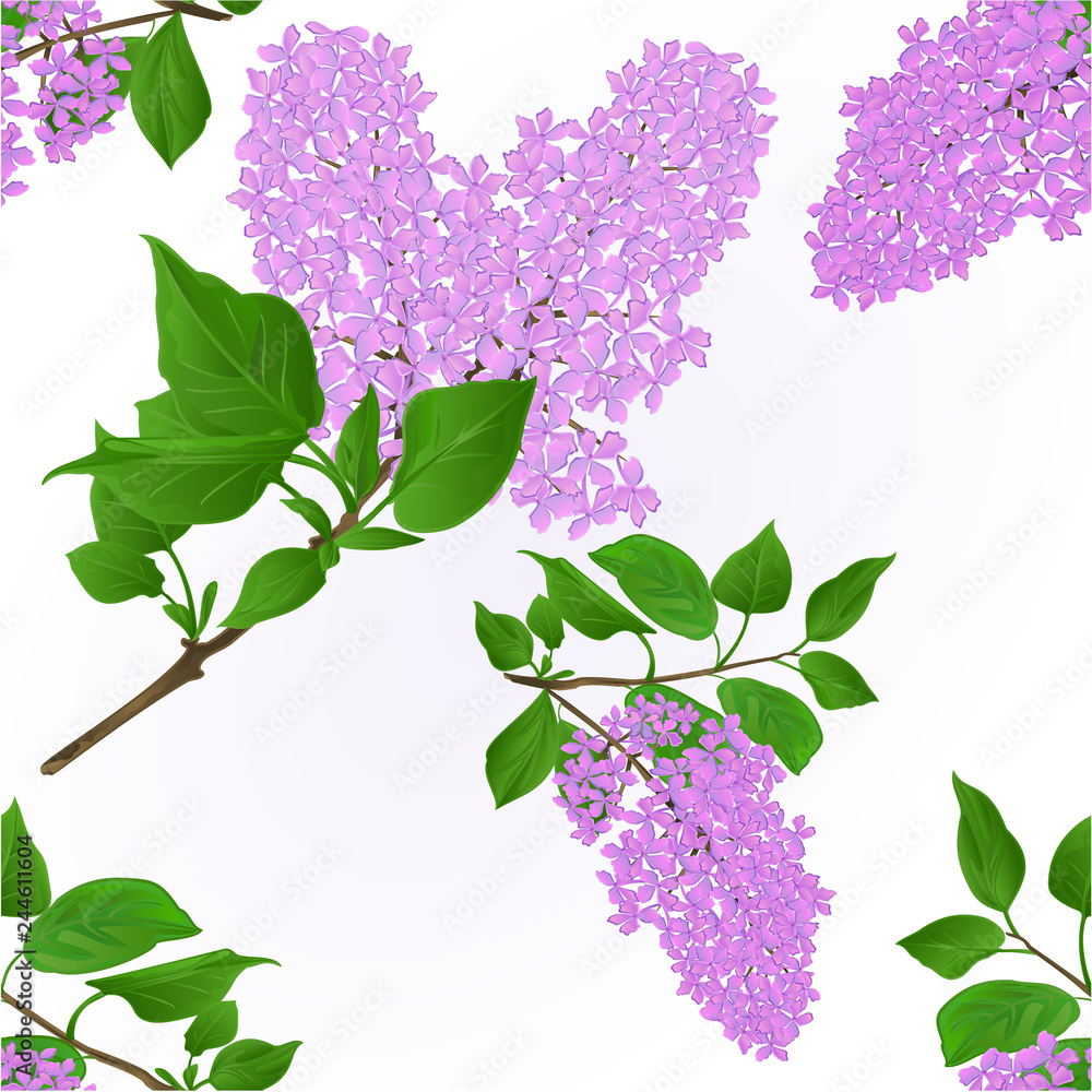 Seamless texture Lilac twigs with flowers and leaves vintage natural ...