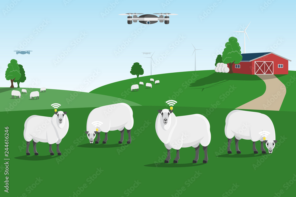 Sheep tracking monitoring on a smart farm. Vector illustration Stock ...