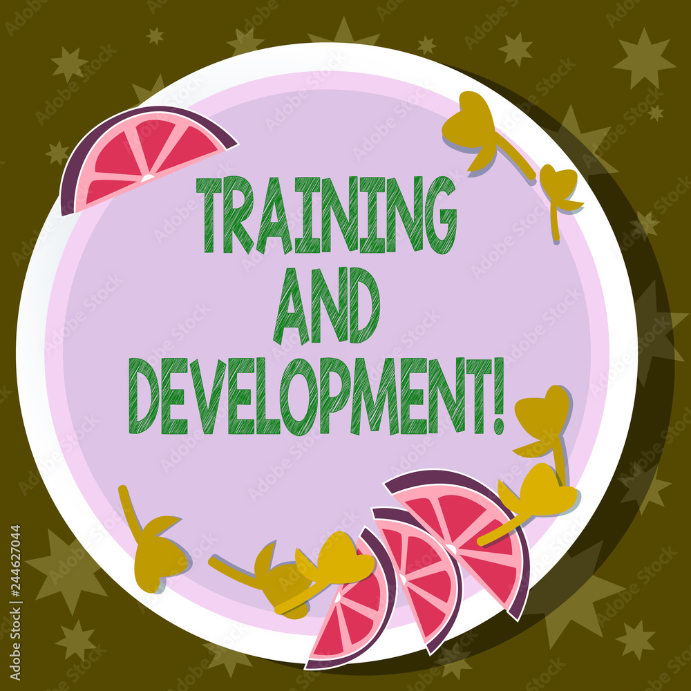 Word writing text Training And Development. Business concept for ...