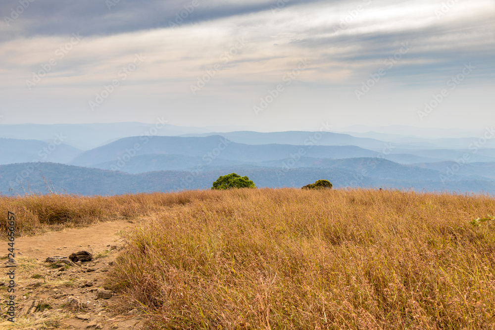 Panchalimedu is a hill station and view point near Kuttikkanam in ...