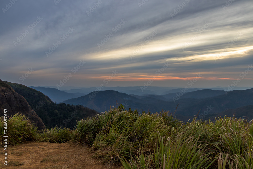 Parunthumpara is a village in the Indian state of Kerala's Idukki ...