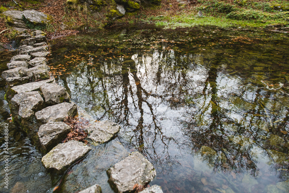 Stones between water in park Stock Photo | Adobe Stock