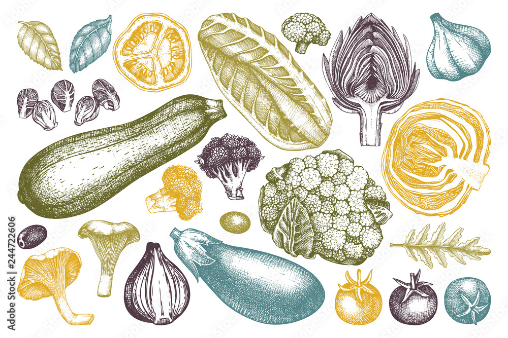 Vector collection of hand sketched vegetables. Vintage veggies and ...