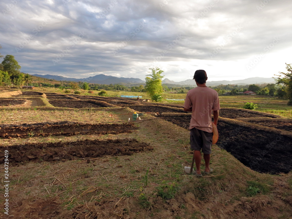 A tired Thai peasant, hoe and hat in hand, faces away from camera ...