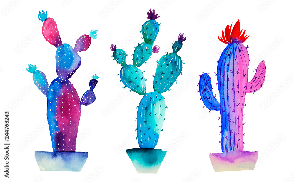 Watercolor set of colorful cactus plants isolated on white background ...