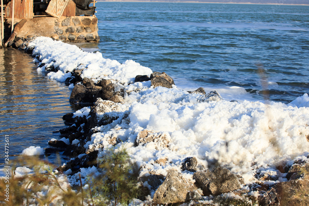 Shore of Afrera lake in Danakil Depression, Afar Region, Ethiopia Stock ...