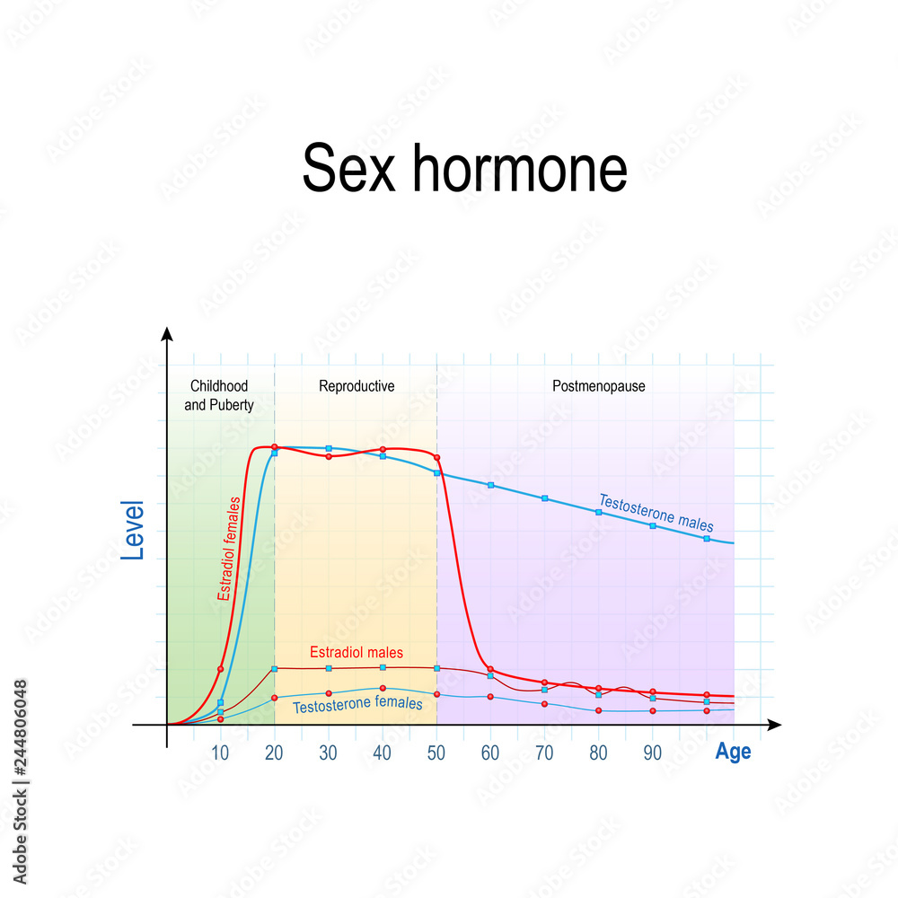 Hormones In Men