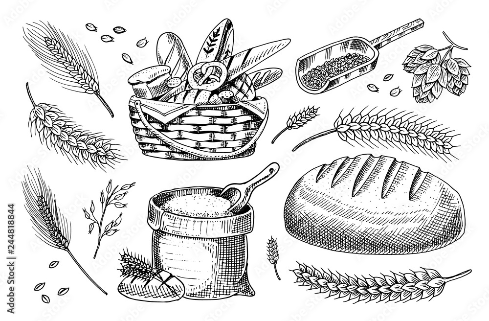 Grain Products Drawing