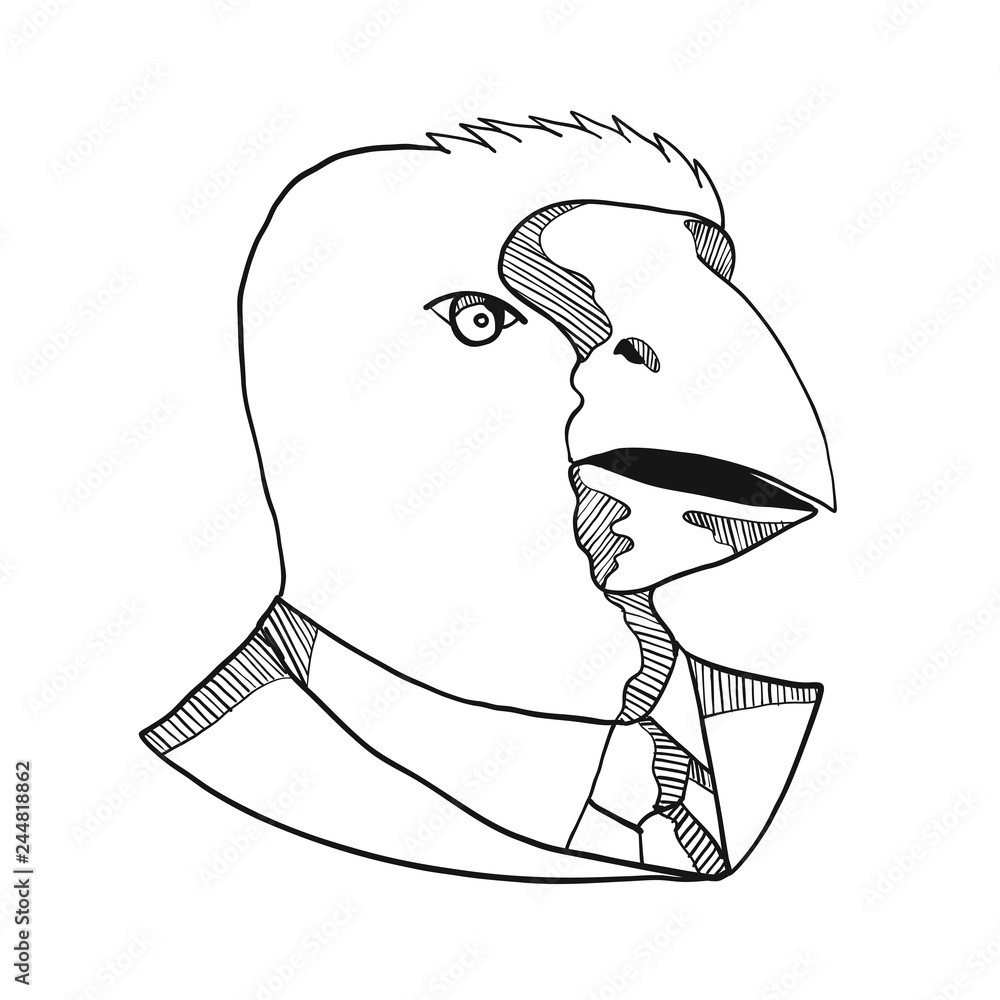 Drawing sketch style illustration of head of a takahe, the South Island ...