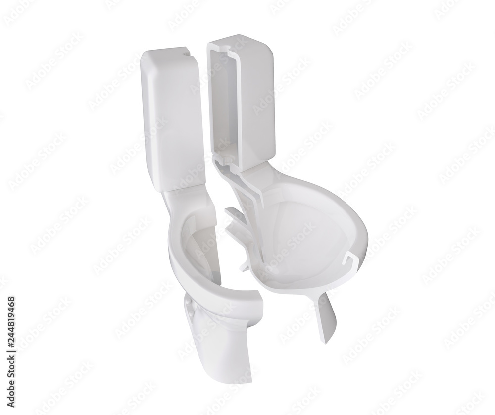 The cross-section structure of the toilet (the system). White color ...