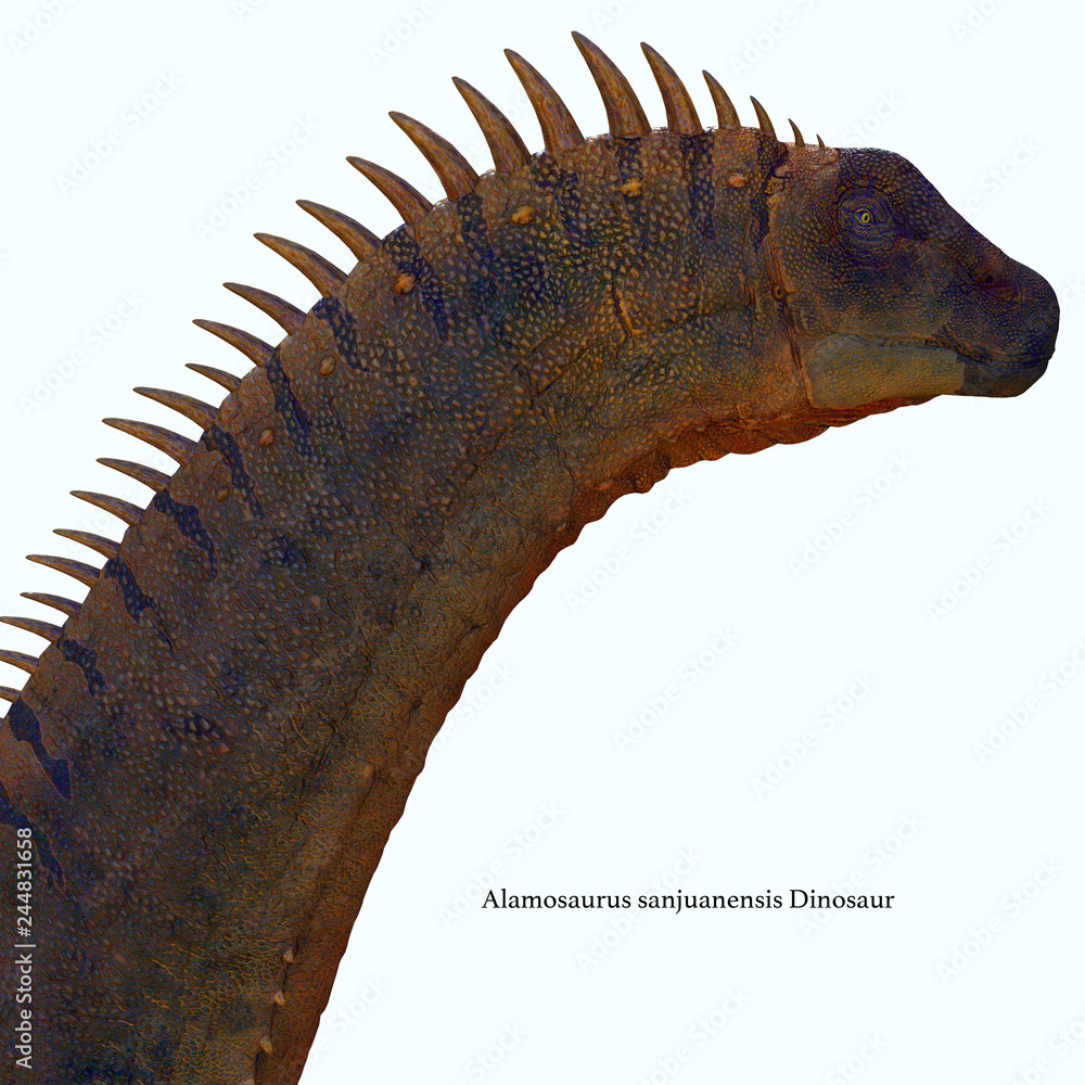 Alamosaurus Dinosaur Head with Font -Alamosaurus was a titanosaur ...