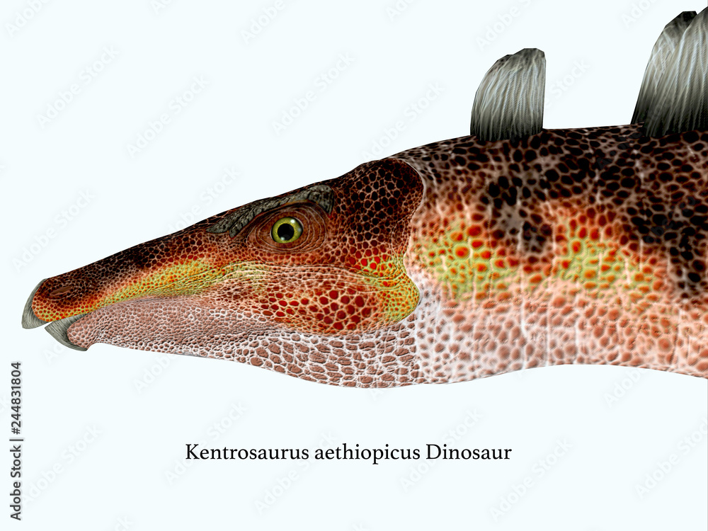 Kentrosaurus Dinosaur Head with Font - Kentrosaurus was a heavily ...