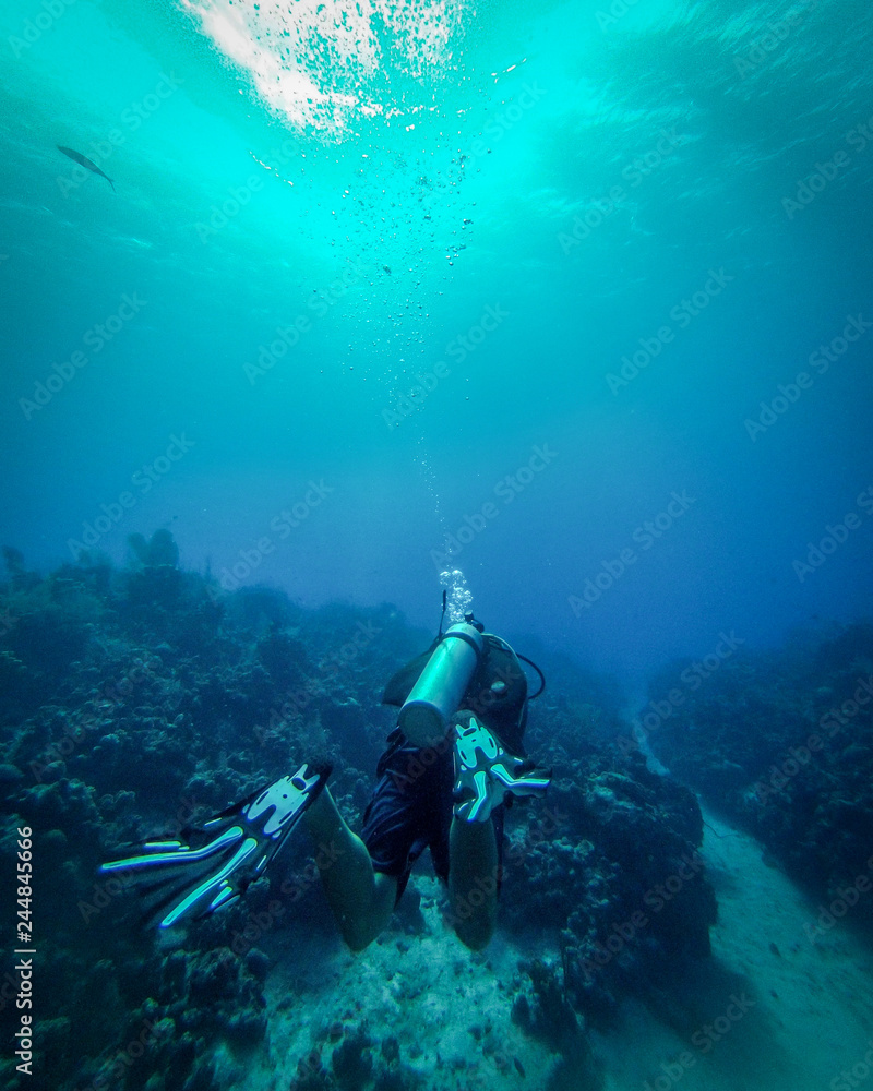 Underwater Photo of a Scuba Diver Swimming in the Ocean - Kicking Their ...