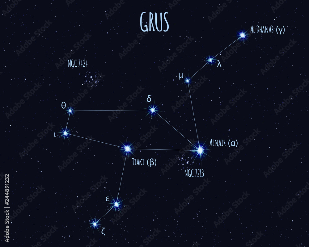 Grus (The Crane) constellation, vector illustration with the names of ...