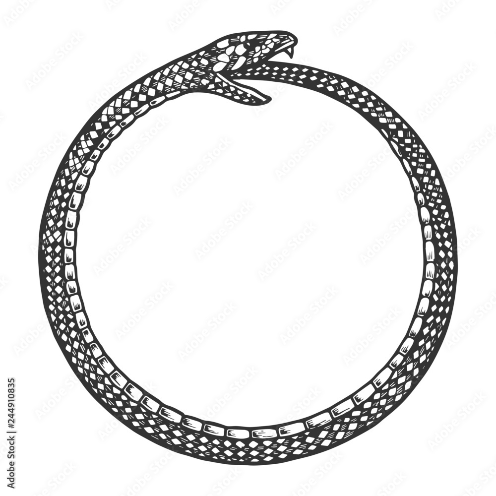 Snake bites itself engraving vector illustration. Scratch board style ...