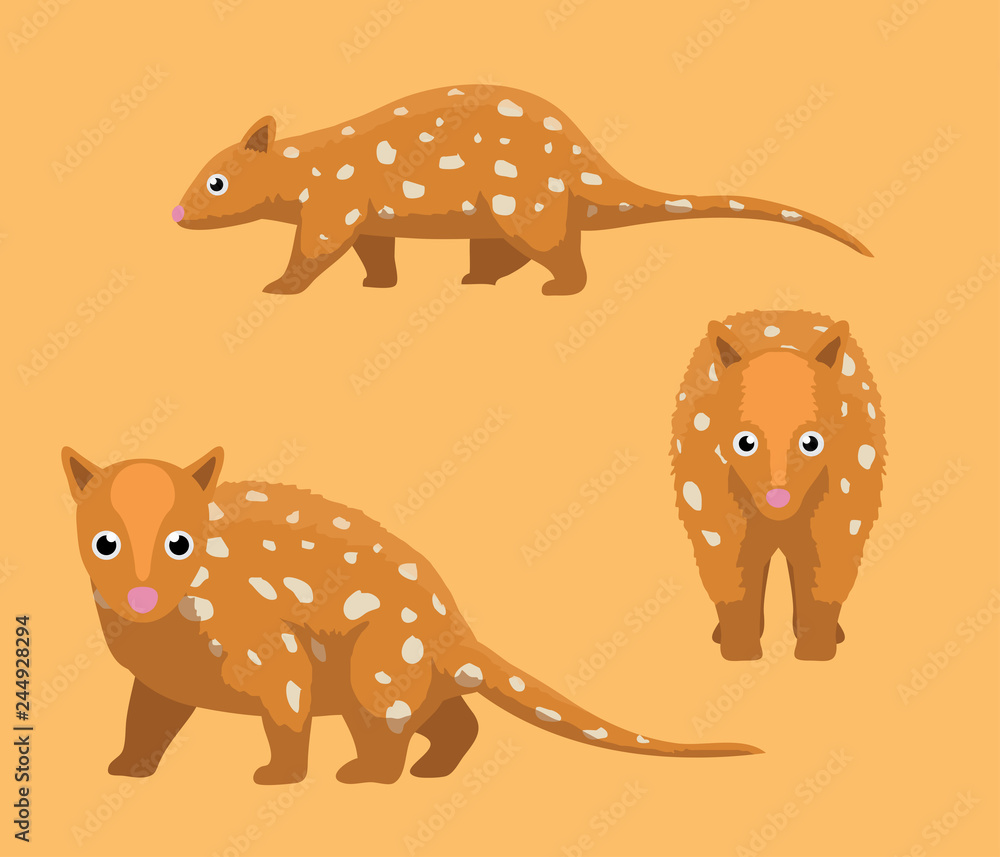 Australian Animal Tiger Quoll Cartoon Vector Illustration Stock Vector ...