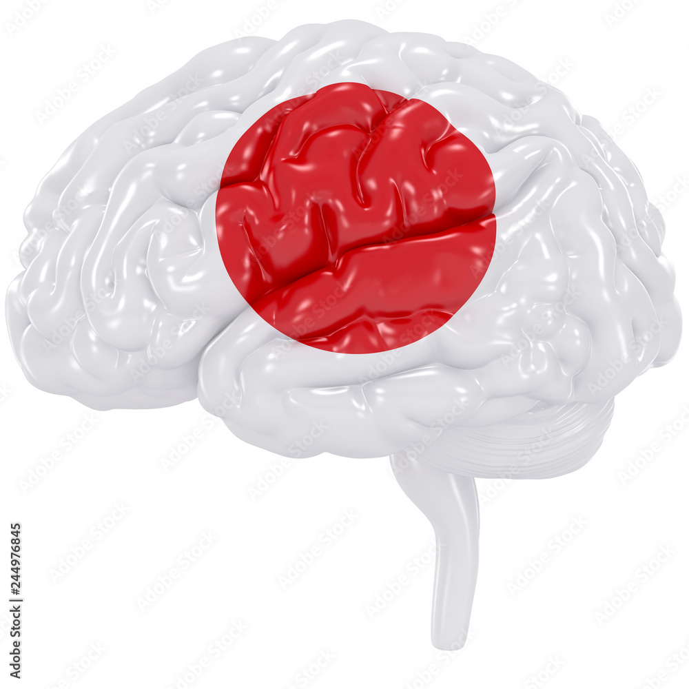 3D Human brain is colored flag of Japan Stock Illustration | Adobe Stock