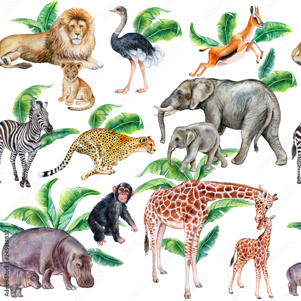 Set of african animals with tropical leaves isolated on white ...