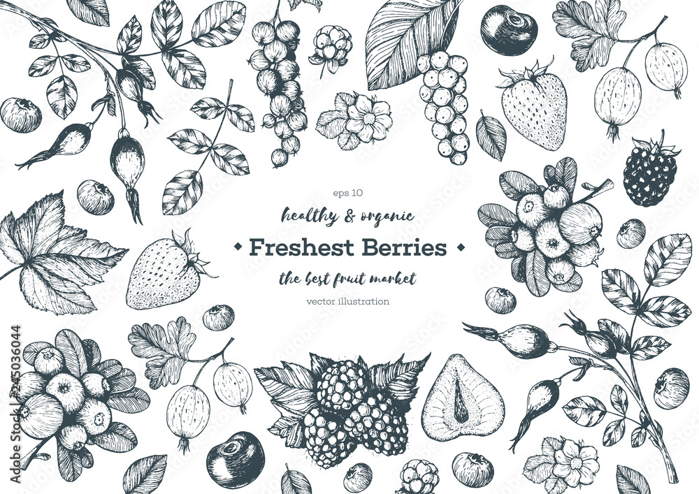 Berries hand drawn, vector illustration frame. Hand drawn sketch ...