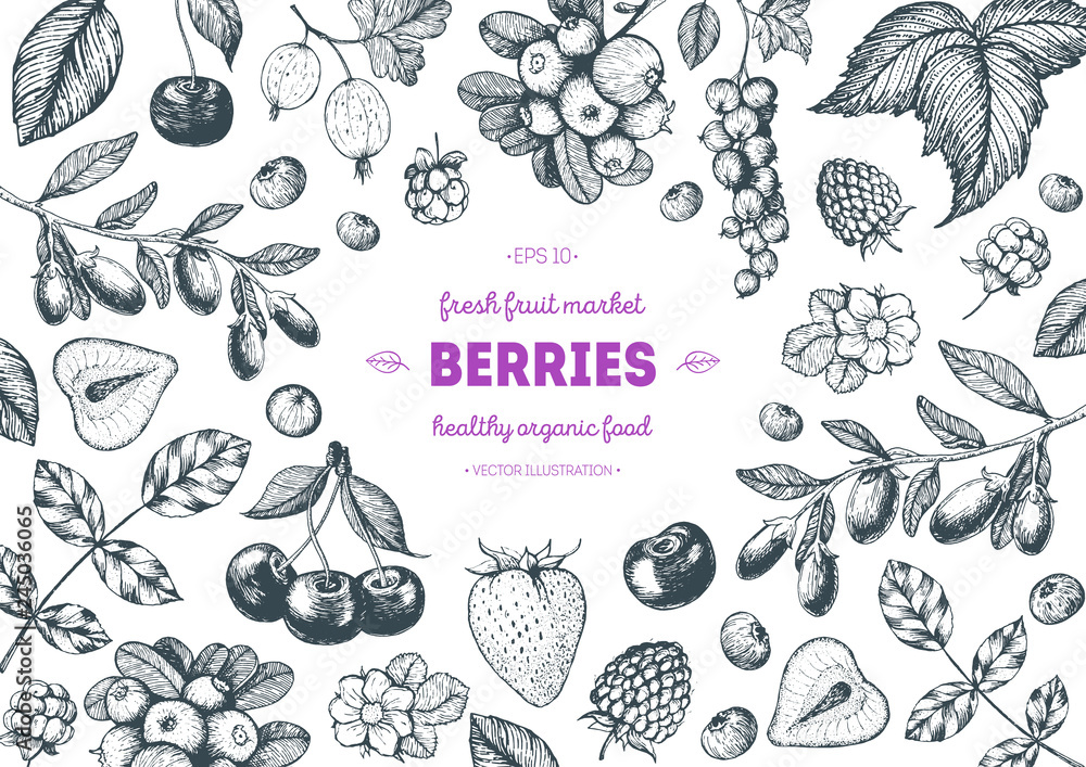 Berries hand drawn, vector illustration frame. Hand drawn sketch ...