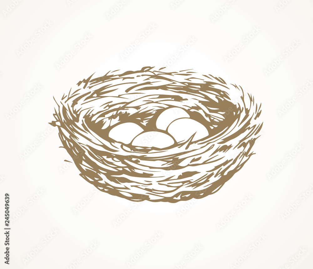 Nest. Vector drawing Stock Vector | Adobe Stock