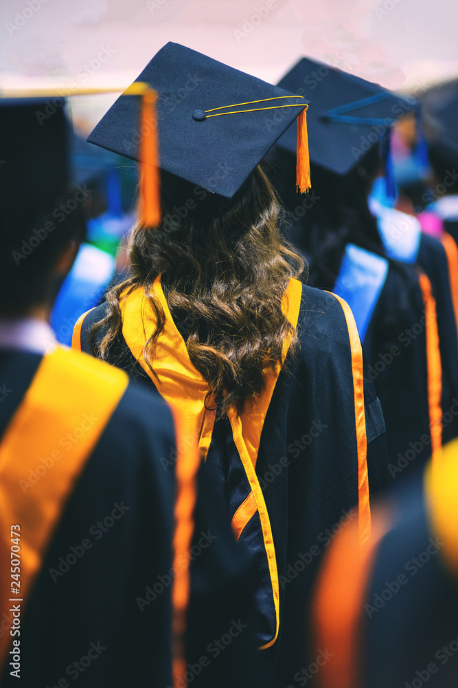 Soft focus rear view of the university graduates line up foe diploma ...