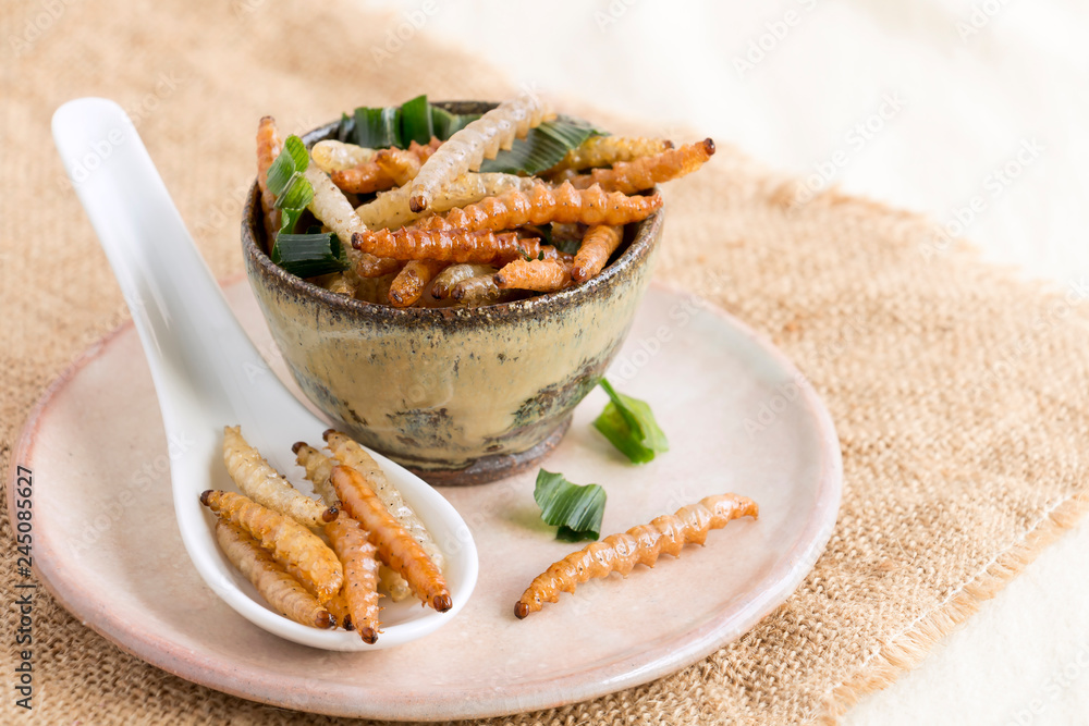 Food Insects: Bamboo worm (Bamboo Caterpillar) insect fried crispy for ...