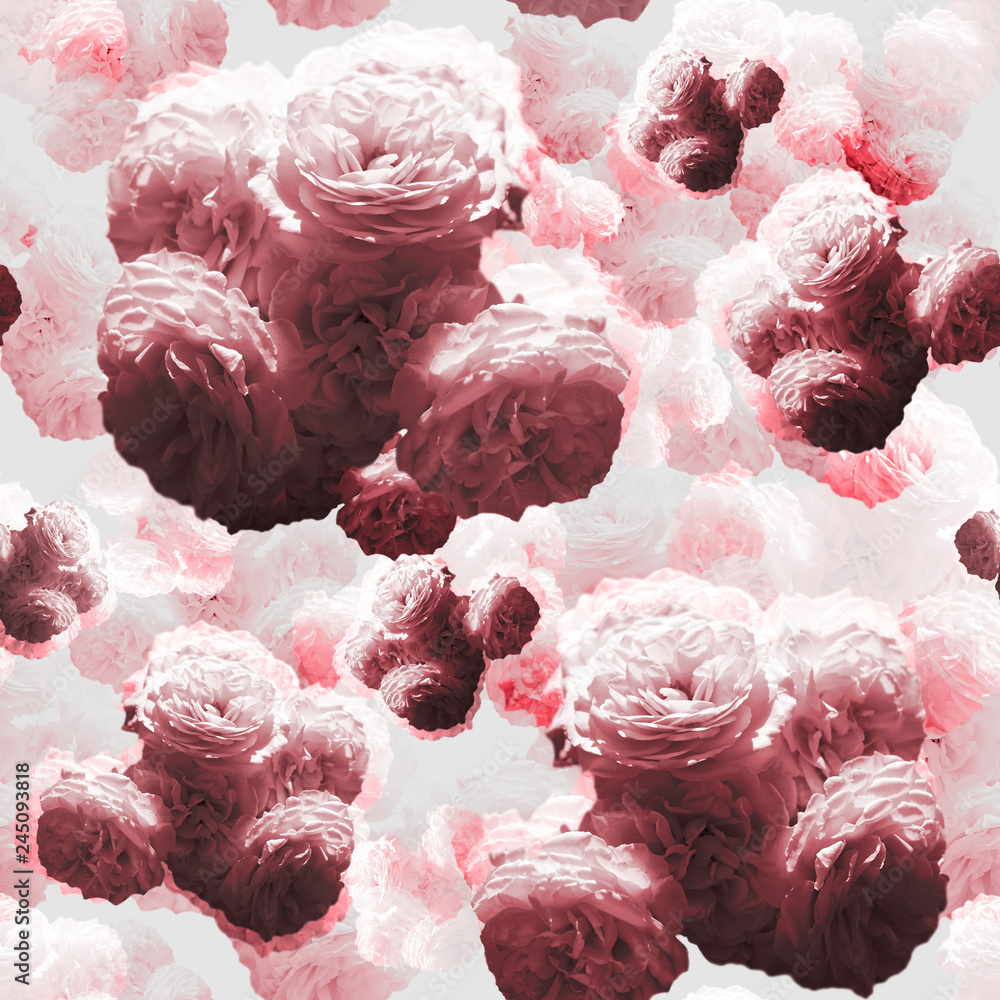 Rose pattern,seamless Stock Photo | Adobe Stock