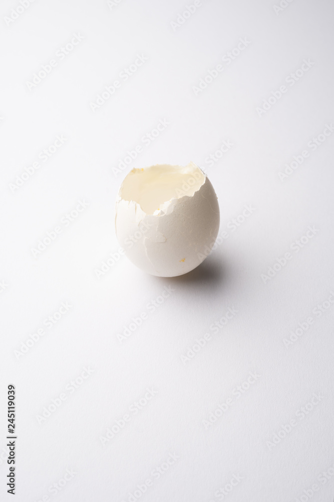 Empty Egg Shell